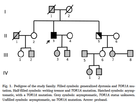 Writing tremor: Should we look for a TOR1A mutation? - MDS Abstracts